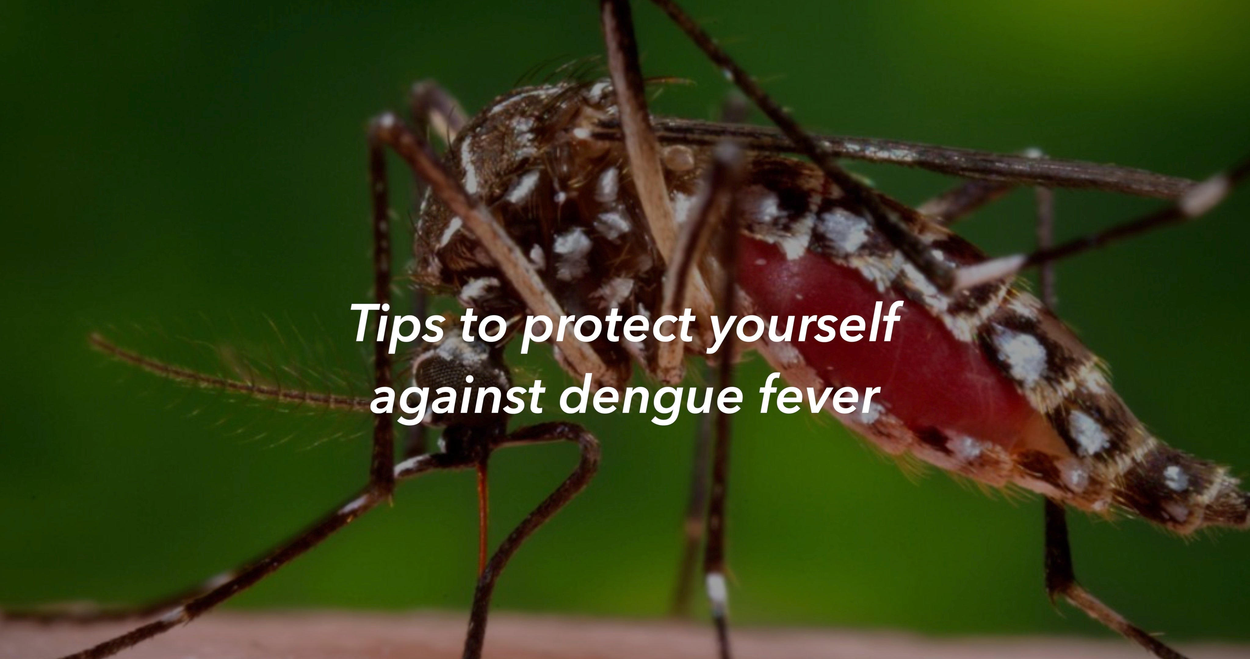 Tips to protect yourself against dengue fever – CAMO