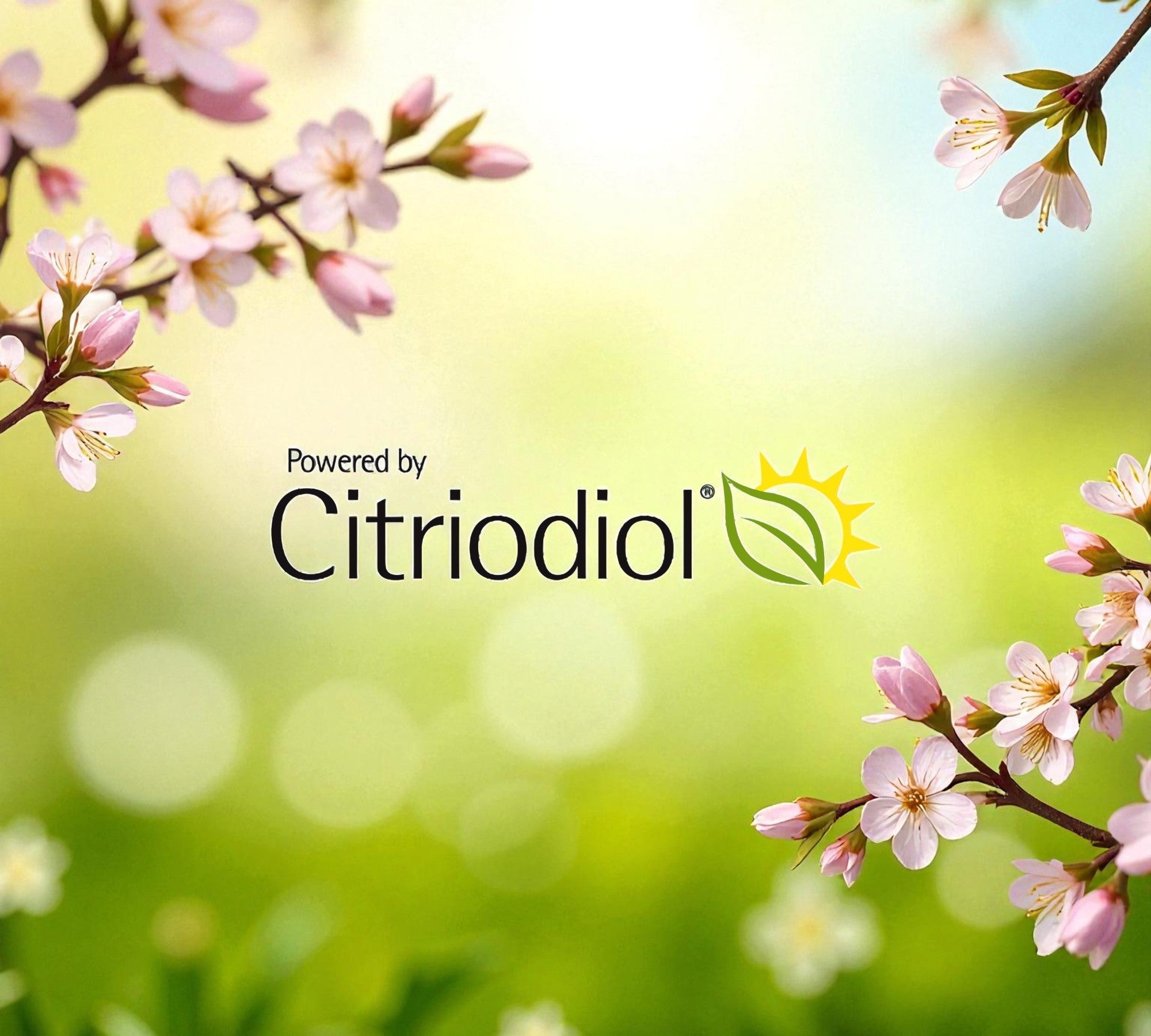 The Science Behind Citriodiol® – Nature’s Mosquito Shield – CAMO